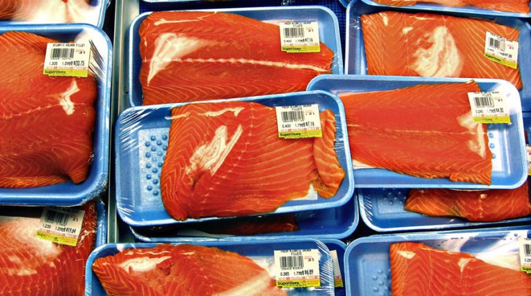 FDA Expected To Approve Genetically Modified Salmon - HoneyColony