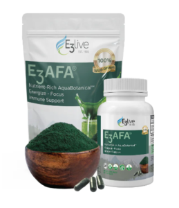 E3Live E3AFA - HoneyColony