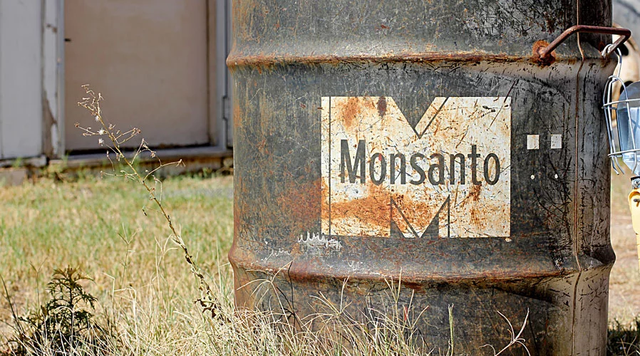 Monsanto Flirts With Disaster, Owns The World Anyway - HoneyColony