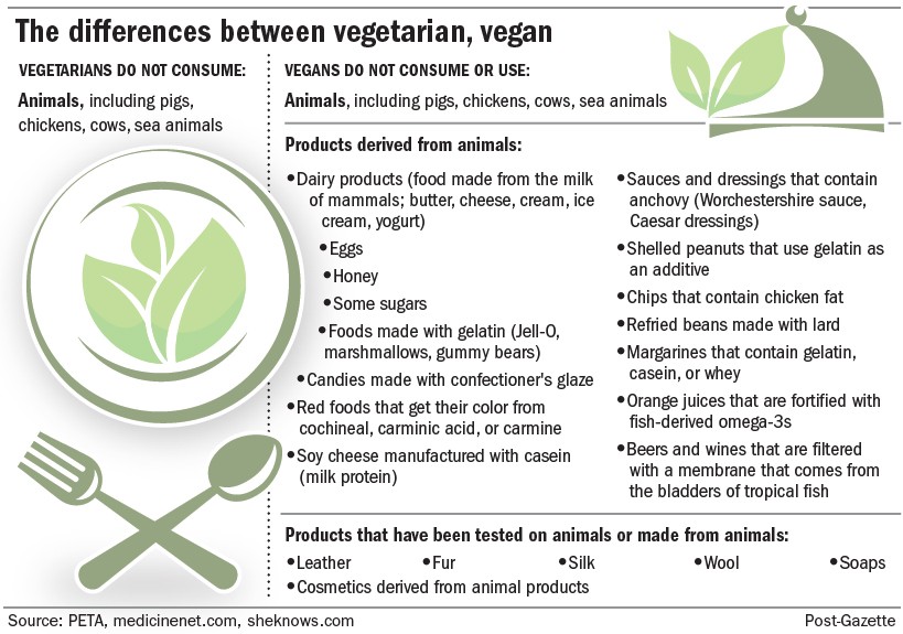 Is A Vegan Diet Healthier? - HoneyColony
