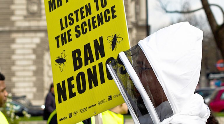 Were Plants In Your Garden Treated With Neonics? - HoneyColony