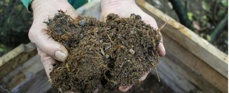 3 Environmentally Friendly Ways To Deal With Human Feces - HoneyColony