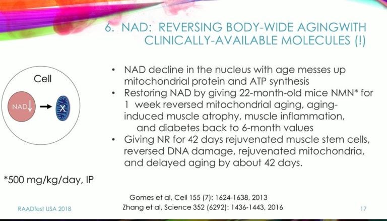 Mad For NAD+ -- 4 Ways To Reverse Aging | HoneyColony