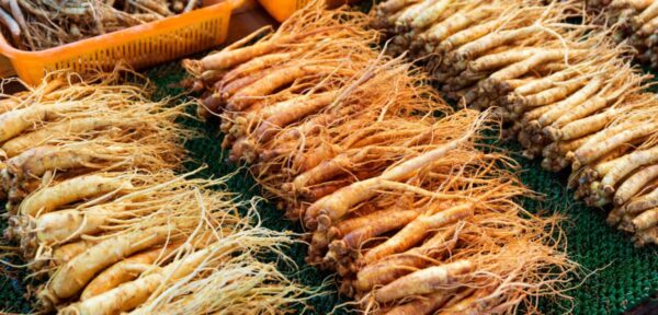 Ginseng Benefits: 6 Reasons You Need It In Your Daily Regimen